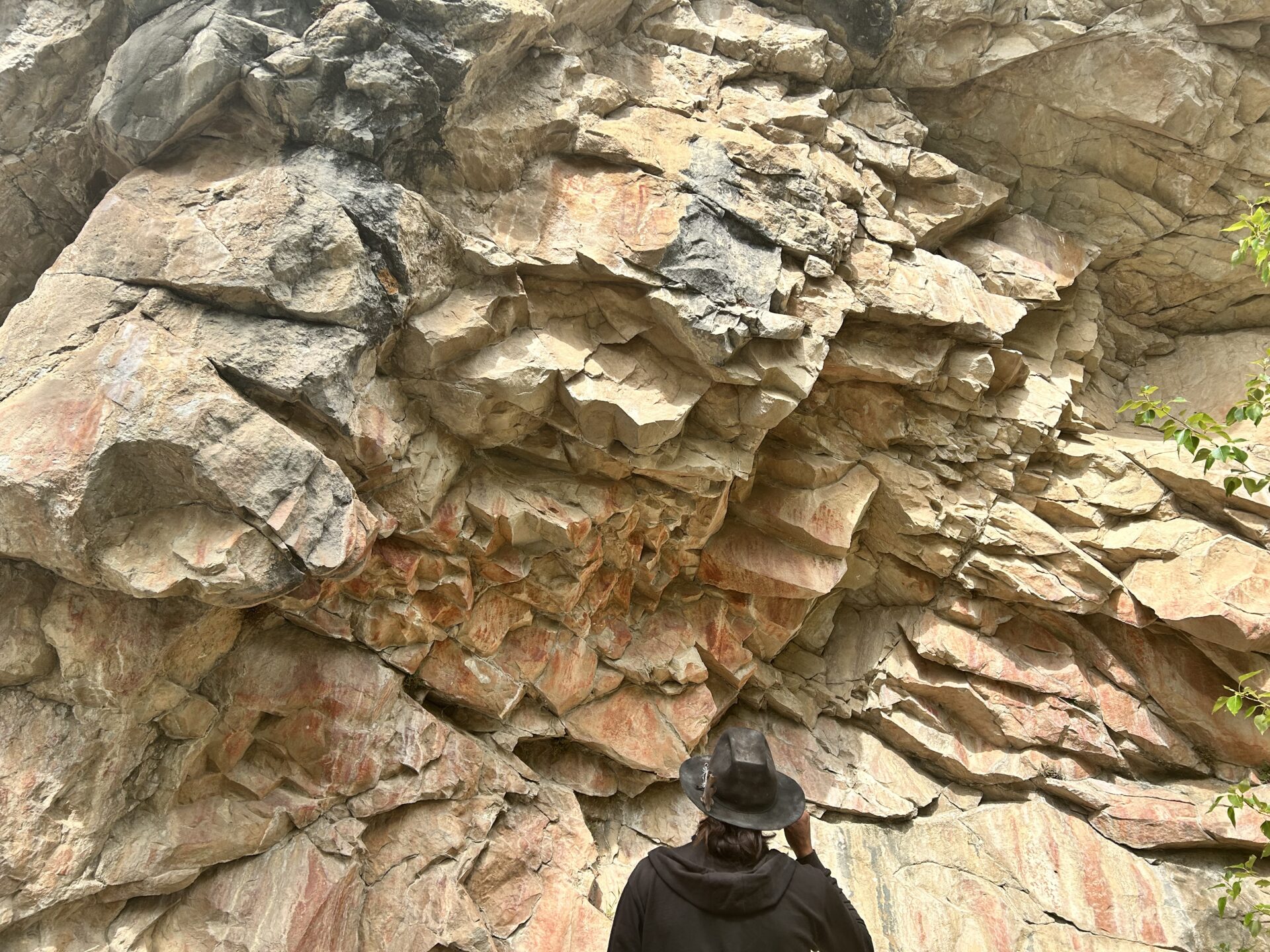 Blackfeet-THPO | amánissin